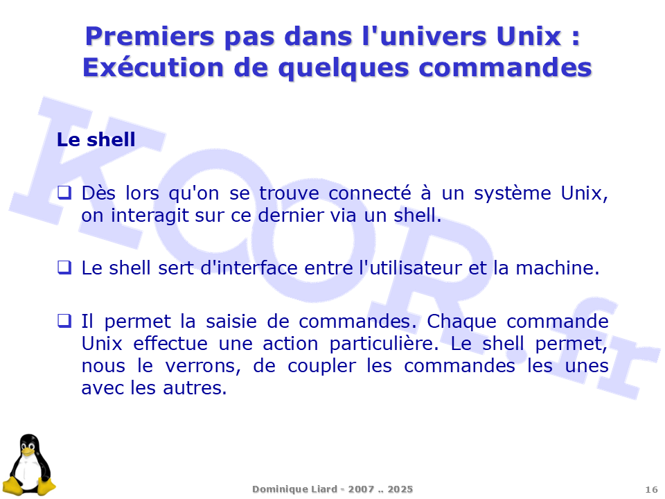 Commandes de base Unix/Linux - Premiers pas dans l'univers Unix - Exécution de quelques commandes